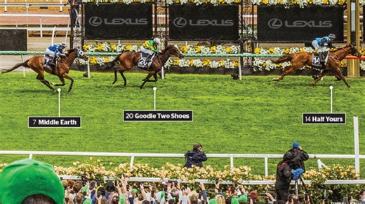 Melbourne Cup results: From Half Yours glory to Buckaroo’s last spot