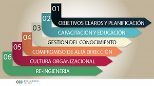factores organizacionales para la implementación de un ERP