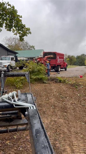 Getting after a big job this morning little wet but still rocking! #TreeRemoval #centervilletn | Arbor Best Tree Care