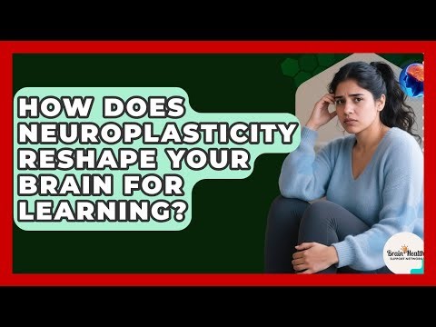 How Does Neuroplasticity Reshape Your Brain For Learning? - Brain Health Support Network