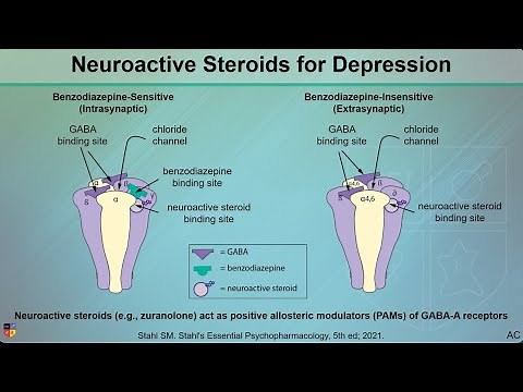 Oral Neuroactive Steroids