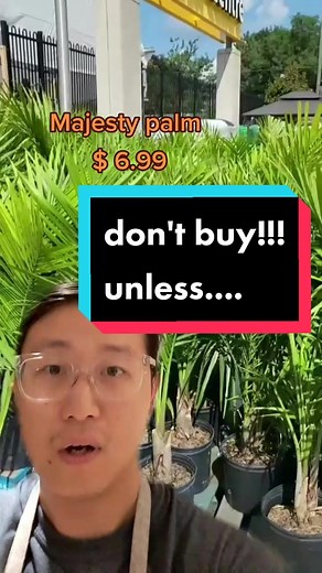 TikTok - Make Your Day