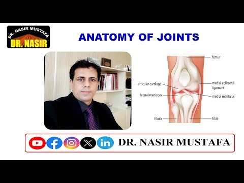 ANATOMY OF JOINTS