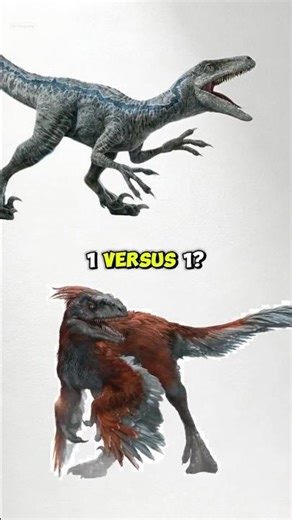Can Velociraptor beat Pyroraptor?