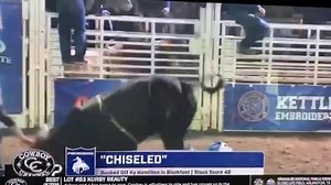 15K views · 261 reactions | Thank you to the Cowboy Channel for featuring our animal athletes. | Powder River Rodeo LLC | Facebook