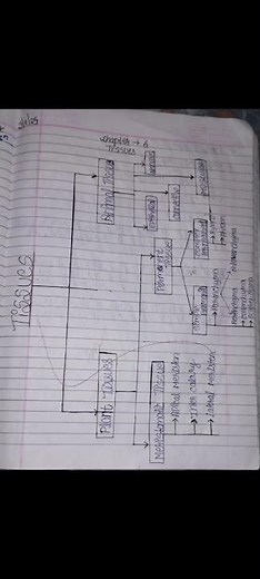 Class 9 science chapter 6 Tissue Table