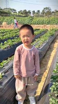 Strawberry Race! Who Won? 🍓😲#shorts