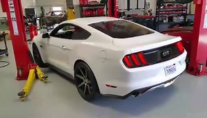 We just finished an install of a ProCharger P1SC Supercharger on this 2015 Mustang GT. The kit was amazing put together and wasn't missing a single washer, something we never see with a supercharger kit. The installation was quite straight forward and precise. The kit certainly impressed us. Acceleration was very smooth and strong, and the power was great! We would definitely consider selling this product! #281motorsports #mustangshop #s550 #procharger #p1sc #supercharger @socal_stangz #socal_st