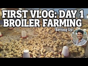 How I Started My Broiler Farm from Scratch 🐥 | Broiler Farming for Beginners (Day 1)