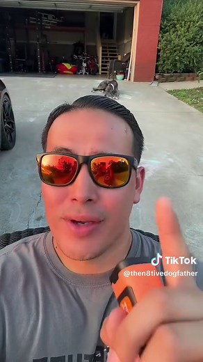 Stop Dog Barking with NPS Dog Trainer - 15% Off!