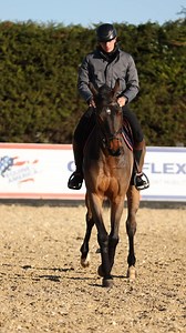 4.2K views · 150 reactions | A day in the life with @hippovibe_software  #hippovibe #horsemanagement | Joseph Stockdale - Showjumper | Facebook