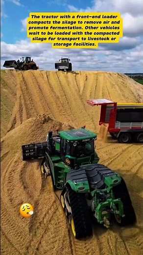 Silage Management: Compacting and Transporting Feed on a Large Scale!