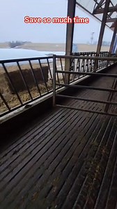 Simple cattle gate latch! #dairyfarm #agriculture #farmer #dairyfarming #cows #cattle #familyfarm #farm #Farming | Silver Farms