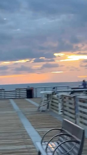 2.6K views · 85 reactions | 11072025 A bird lovers dream! Super-moon and Sunrise with Rex the Seagull with his squabble and screech of buddies, and the “Adventures of Pompano Pete” the Pelican. Also, Burt the pigeon and his friends in paradise Raquel Vera | Pompano Beach, Fl. Official | Facebook