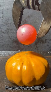 27K views · 114 reactions | RHCB vs pumpkin  #science #satisfying #rhcb #experiment #asmr #RHCB | Florida Foundry | Facebook