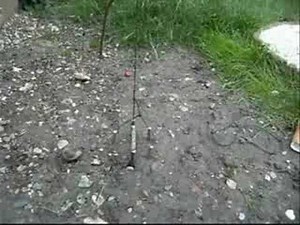 my version of the botswana bird trap