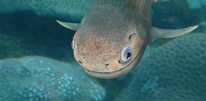 It’s less than 2cm long, but this 400 million year old fossil fish changes our view of vertebrate evolution