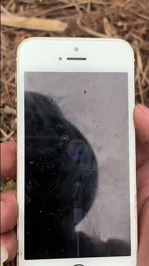 Restore iPhone 5s in the Trash .iTunes #shorts