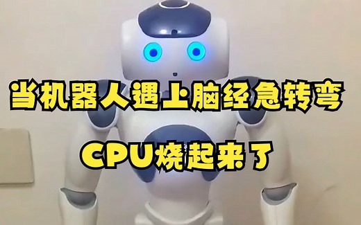 当机器人遇上脑经急转弯，CPU烧起来了！！