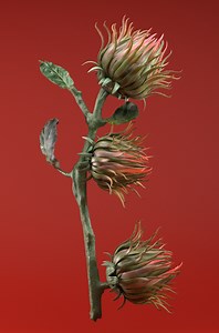 Hook&Loop for VELCRO®  — XK studio