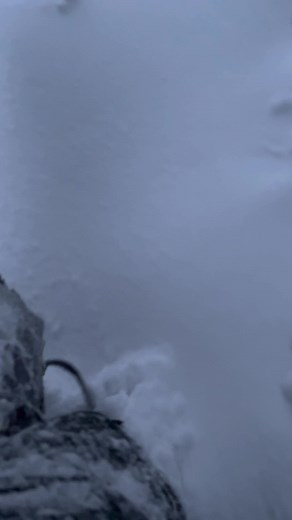 Welcome to Cameron Outfitters where we do cruel and usual stuff just to get an elk #pimp #huntingguide #marriedlife #singleasapringle