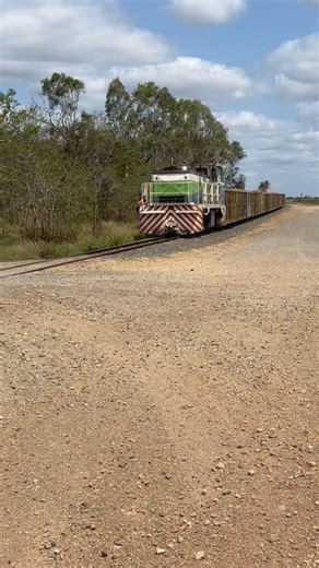 26 reactions | These guys loved making memories while learning all about sugar cane farming here at #ohdeerefarmstay #visitmackayisaac #familyfriendly #supportlocal #familyfun #educational #sugar #farmerlife #sugarcane #agriculture #agritourism | Oh deere farm stay | Facebook