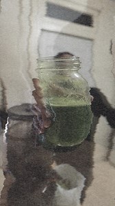 Reset your body with this green juice 🥬🍏✨ Here’s the recipe: 🧄 1 fennel bulb (digestion superhero) 🍏 3 green apples (sweet gut-friendly) 🥬 1 bunch of dandelion greens (detox power) 🍋 2 key limes (zesty antibiotic) 🌱 Thumb of ginger (anti-inflammatory boost) | Brandon Ahmaud