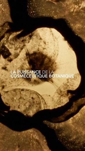 Lierac Paris on Instagram: "PREMIUM la science de la reprogrammation cellulaire. Extrait de santal blanc pour protéger les cellules souches, extrait de joubarbe pour renforcer les défenses cellulaires, ARN de baobab pour cibler les cellules sénescentes, et niacinamide pour stimuler l’énergie cellulaire. Avancer avec puissance. _ PREMIUM the science of cellular reprogramming. White sandalwood extract to protect stem cells, Houseleek extract to strengthen cellular defenses, Baobab RNA to target se