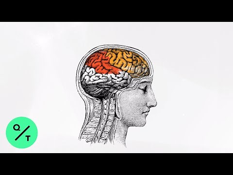 Why Your Brain Can't Fight Distraction