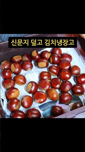 Easy way to Store Raw Chestnuts.