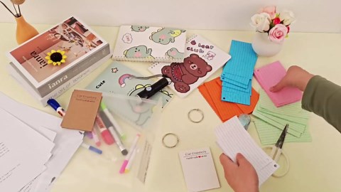 NACHLYNN 18 Pack Plastic Envelopes Plastic Folders With Snap Closure, A4 Size Clear File Envelopes with Label Documents Folders Organizers for Home Work Office Organization