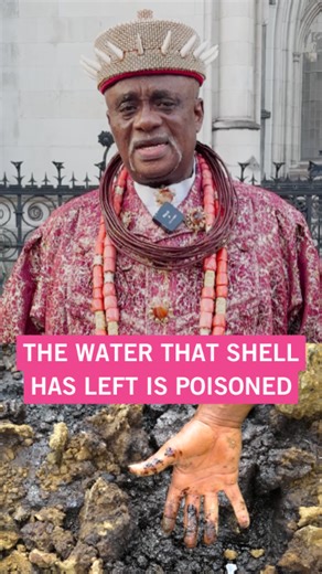 9.7K views · 212 reactions | Tomorrow: Shell holding their AGM with...