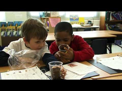 First Grade Science: STC™ - Planting Our Seeds