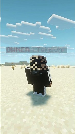 Dieser Spieler wurde KOMPLETT ZERSTÖRT! #minecraft #smp #deutsch #fürdich