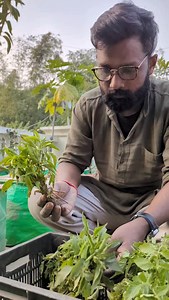 Grow plants by sampling #gardening #plants #garden | Nature's Roots