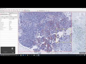 16 - Local measurements and the object hierarchy