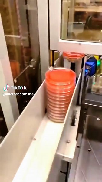 Histo Lab ASMR: Sounds from a Microbiology Perspective