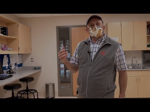 Virtual tour of the Small Animal Community Practice at Cornell Vet