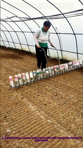 Homemade Seeder with Bottles Greenhouse Planting