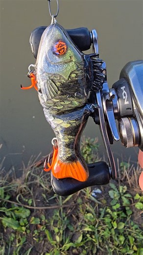 16 reactions | #fishing #lure #lurefishing #predatorfishing #perch #pike #perchfishing #pikefishing #custom #lures #riverfishing #fishinglure #handmade #paint #wood #water #river #alien_predator_lures #handcrafted #luremaking #lurebuilding #handmadelures | Alien_Predator_Lures | Facebook