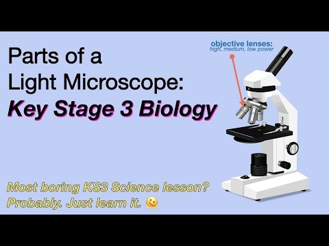 KS3 Biology: Parts of a Light Microscope