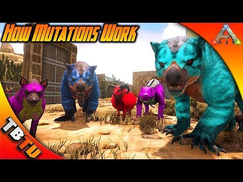 HOW MUTATIONS WORK IN ARK! STACKING COLOR AND STAT MUTATIONS! Ark Survival BREEDING Tutorial E1