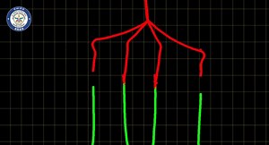 1.4K views · 174 reactions | India became first country to demonstrate the capability of engagement of 04 aerial targets simultaneously at 25Km ranges by command guidance using single firing unit. The test was conducted by IAF using Akash Weapon System. Akash Weapon System is designed & developed by DRDO and produced by BEL/BDL along with other industries. Current firing was done from the system inducted in Indian Air Force in 2019. | Next Generation Weapons Technology | Facebook