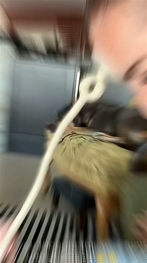 Epic fail right before the big day 😬💥 #EpicFail #UnexpectedMoment #OopsMoment #ShockingScene #CaughtOnCamera #LOL | Binge Watch