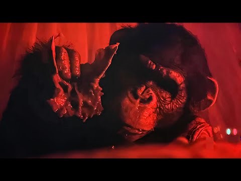 A Rabies-Infected Monkey Turns Into a Killing Machine | PRIMATE (2026) Movie Recap