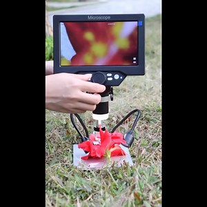 Watch Micsci 7 inch digital microscope on Amazon Live