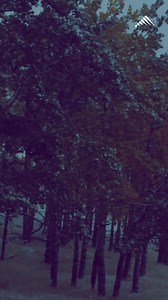 Happy winter solstice! “Wisdom comes with winters.” — Oscar Wilde | Colorado Technical University