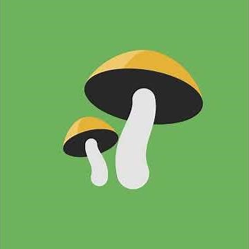 Poison Safety: Indoor and Outdoor