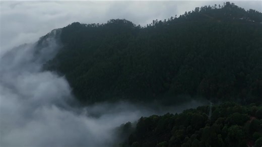 #NuestroMéxico | La cuna oculta de las nieves tradicionales de Oaxaca En la Sierra Norte nace la tradición de las nieves oaxaqueñas, originada en La Nevería, donde el hielo se recolectaba de forma natural y se transportaba en burros. Hoy, esta comunidad a 2 mil 700 metros de altura preserva su historia a través del turismo sustentable y la herencia familiar. Los habitantes ofrecen experiencias únicas como el "baño de bosque" y rutas de cultivos ancestrales para frenar la migración juvenil. :icec