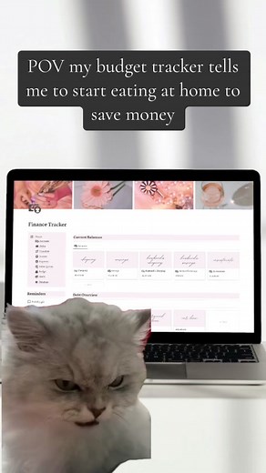 #capcut grumpy cat eating meme #greenscreenvideos #greenscreenoverlays #fyp #fypシ゚viral #fyppppppppppppppppppppppp #meme #memestiktok #budgeting #budgetfriendly #notiontemplate #budgettemplate #viral #catsoftiktok #catmeme #catlovers